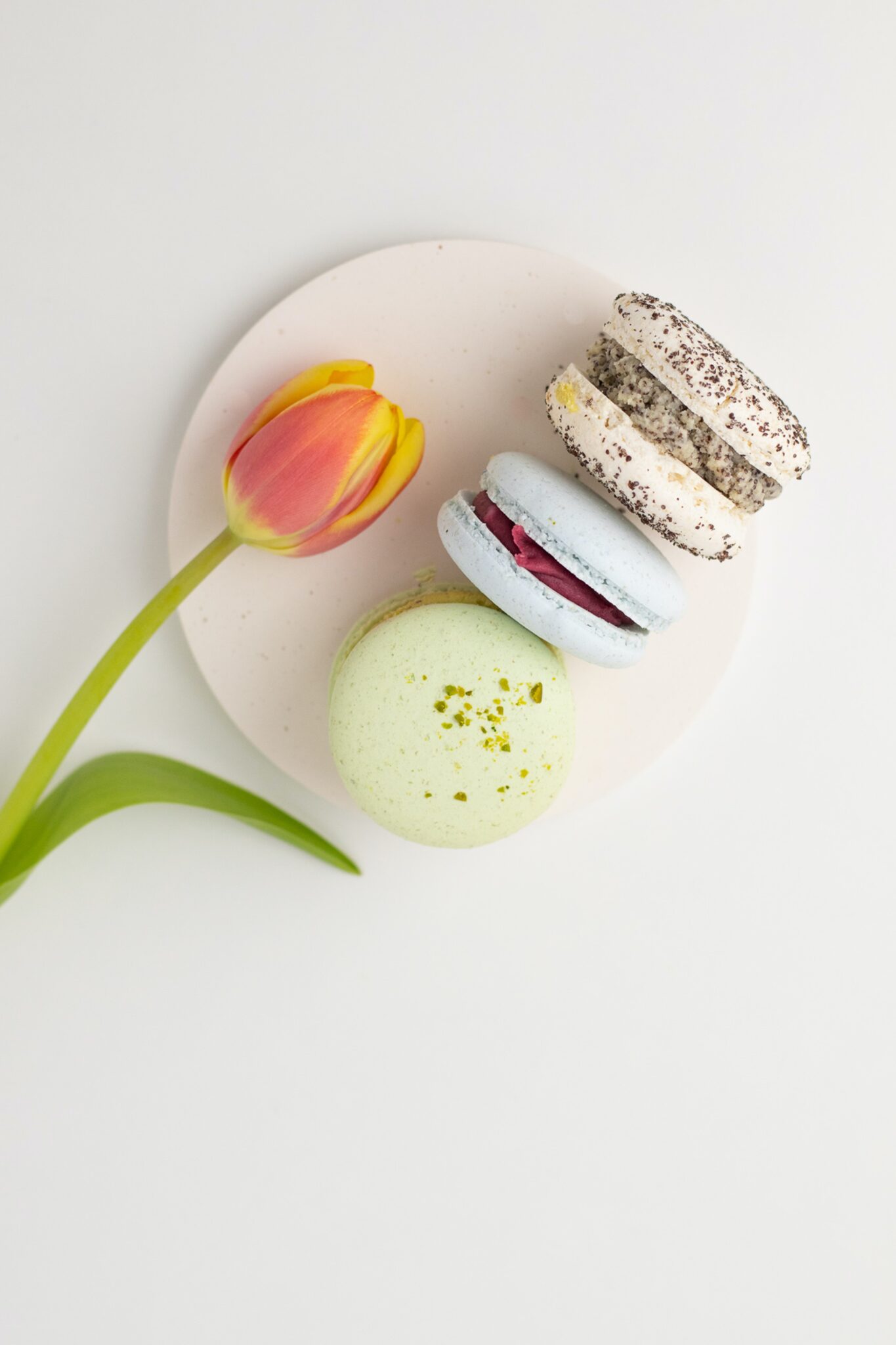 Can you Freeze Macarons? Tips on How to Store Macarons - MAY EIGHTY FIVE