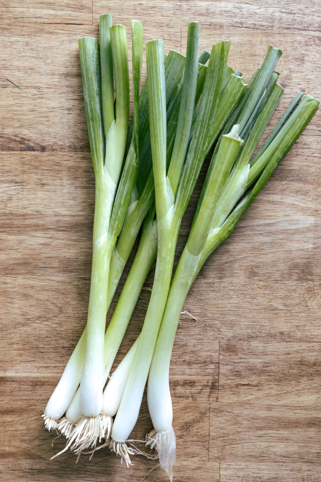 Easy Creamy Green Onion Dip – Healthy Recipe with Yogurt - MAY EIGHTY FIVE