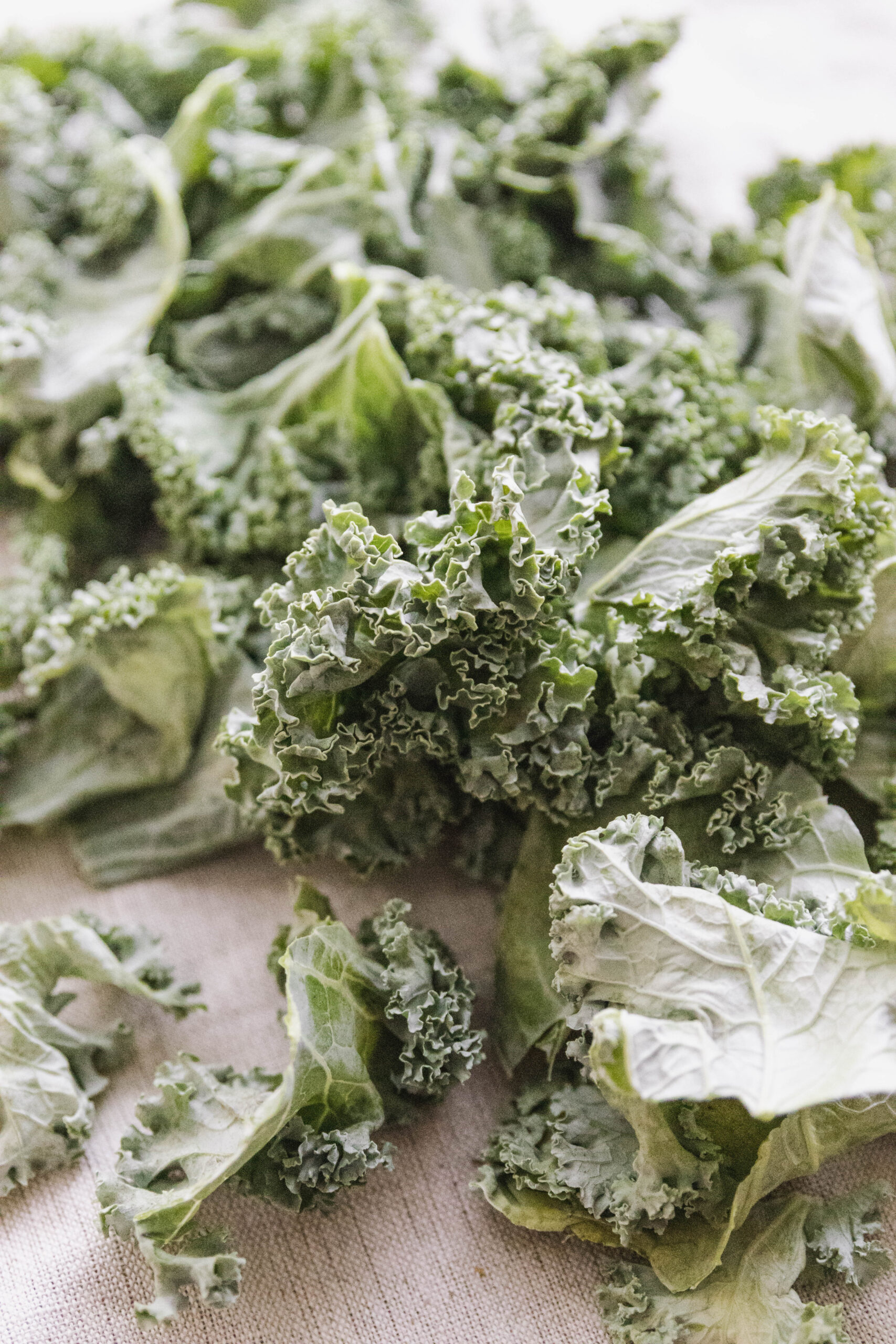 Hearty Kale and Parmesan Soup Recipe - MAY EIGHTY FIVE