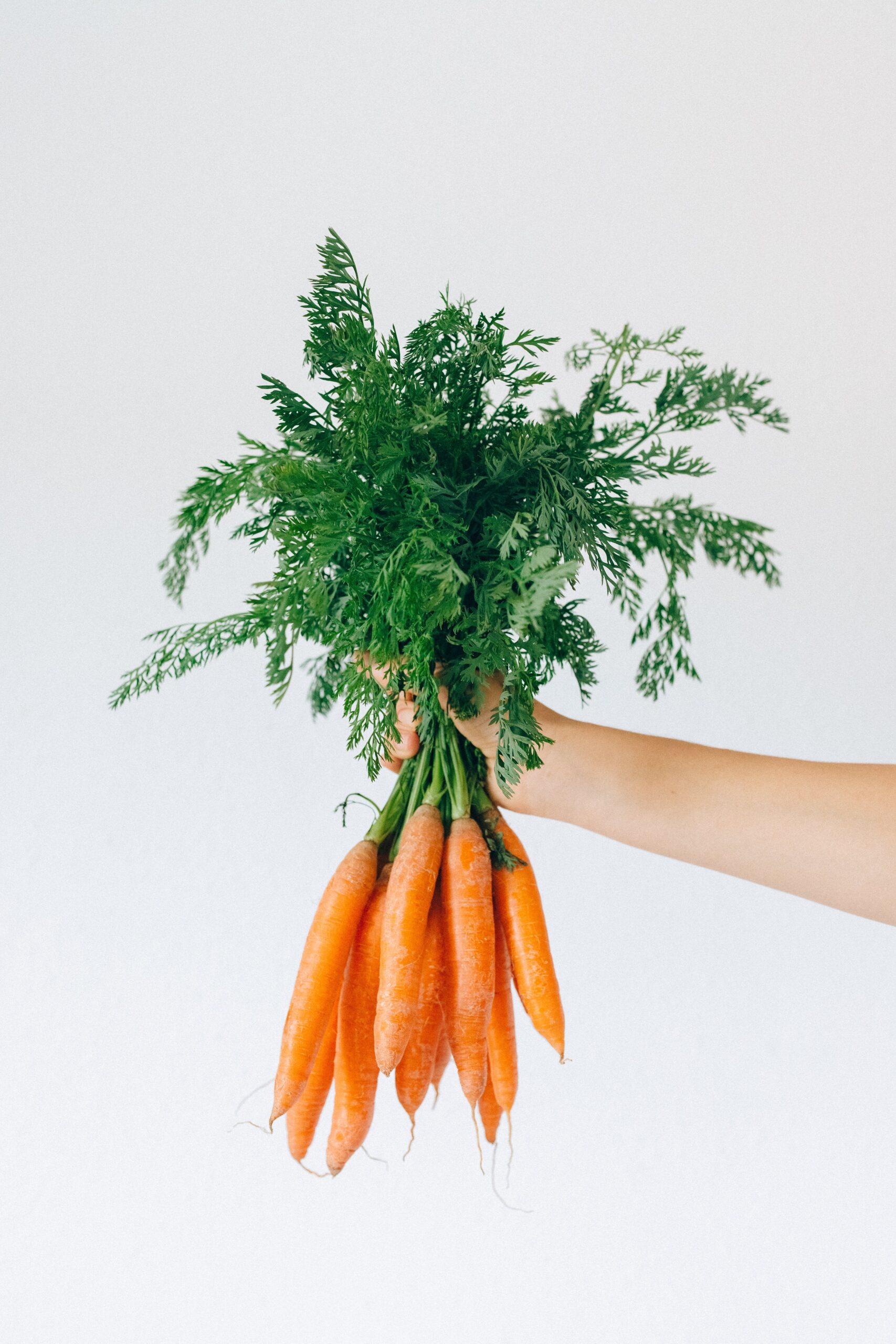Top 10 Carrot Health Benefits and Nutrition Facts - MAY EIGHTY FIVE