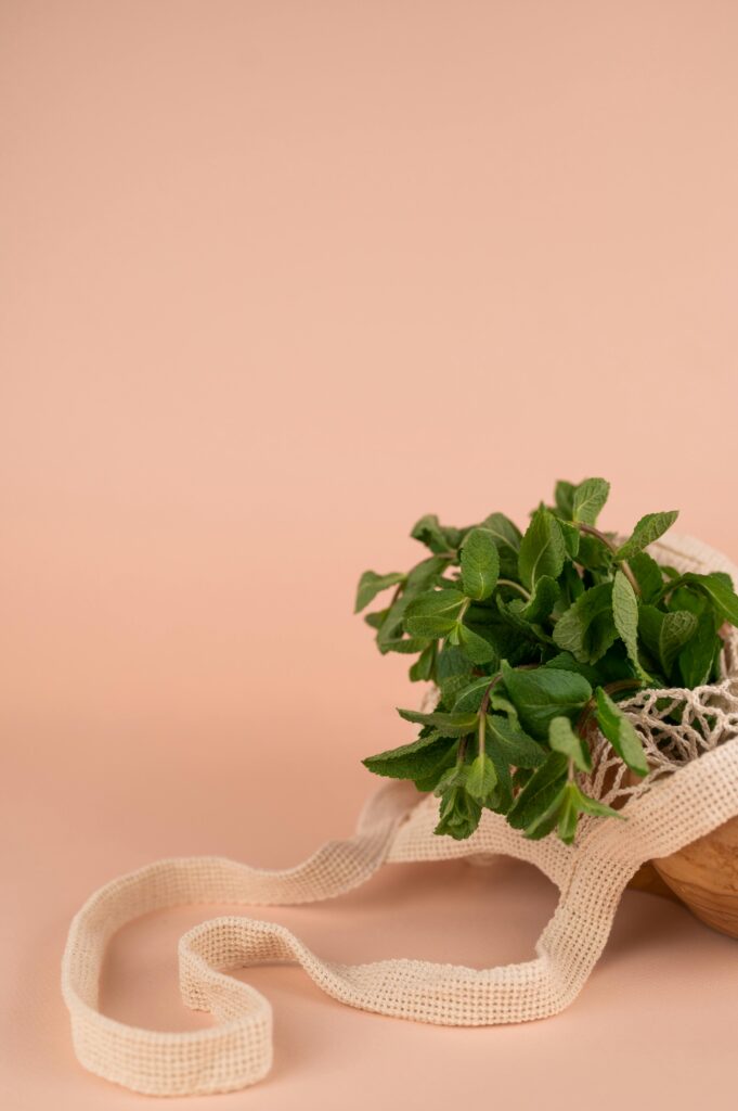The Ultimate Guide to Storing Fresh Mint: Keep It Vibrant and Flavorful ...