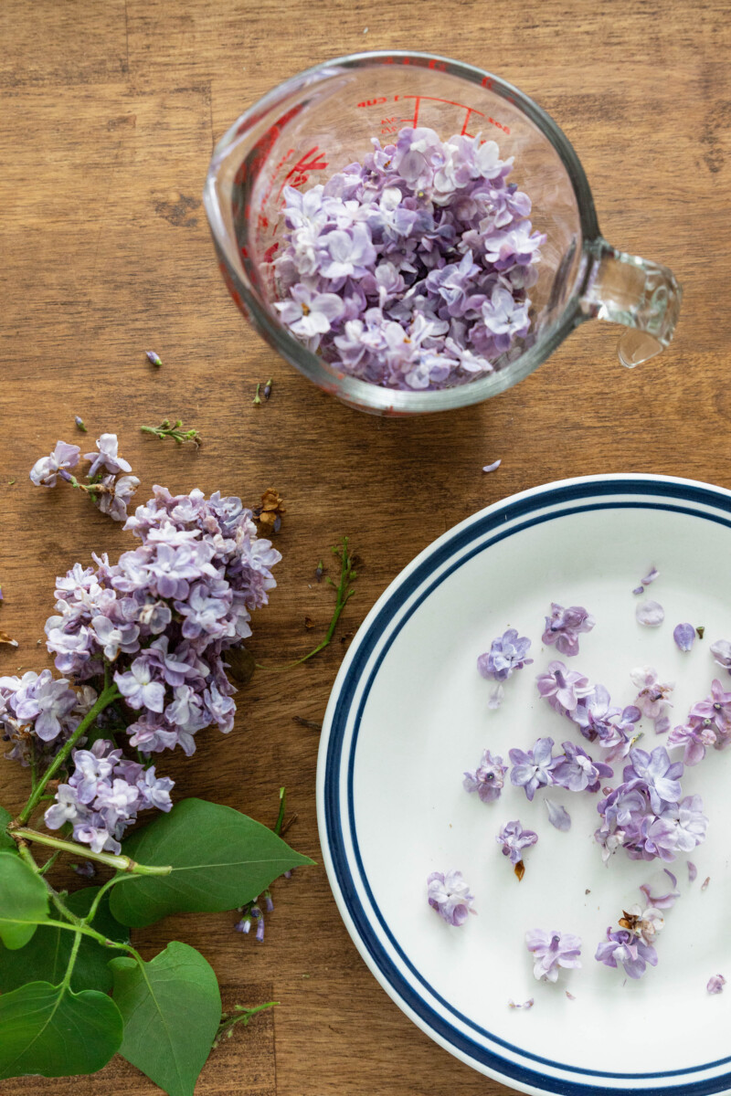 How to Make Lilac Sugar (Includes Tips and How to Use) - MAY EIGHTY FIVE
