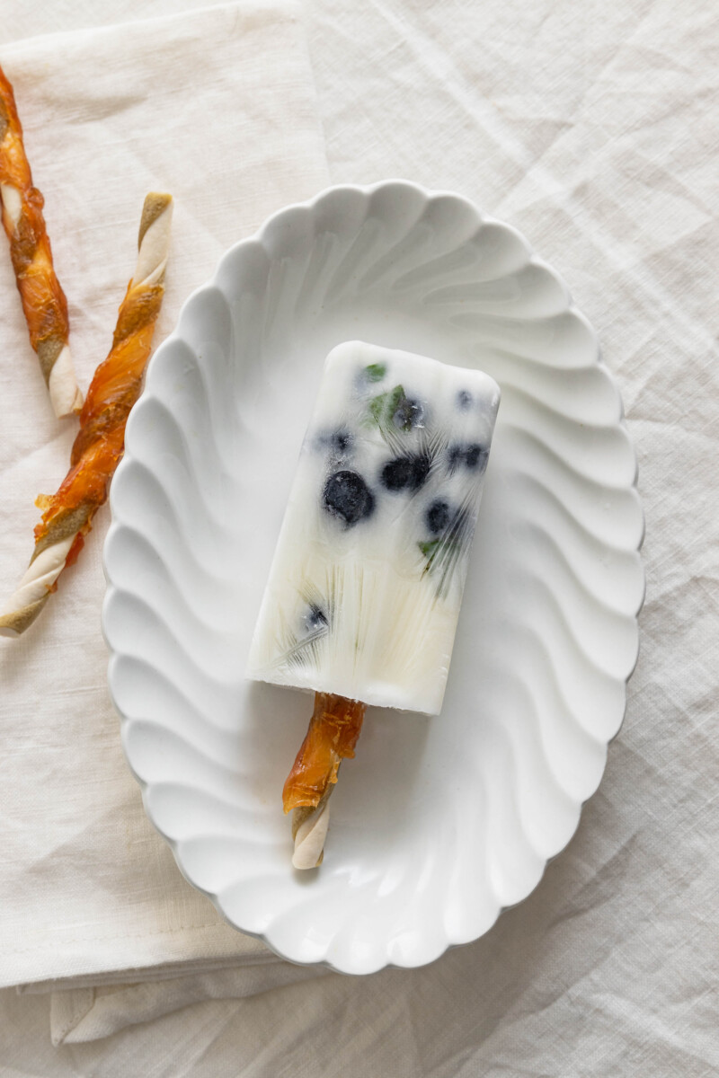Dog Pupsicles: A Perfect Summer Treat for Your Furry Friend - may ...
