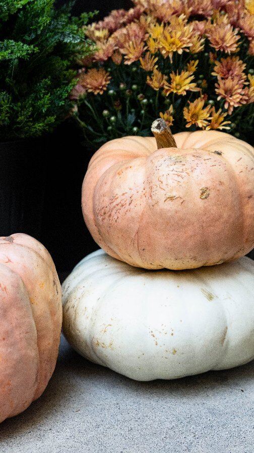 The Best Fresh Tomato Salad Recipe - may eighty five